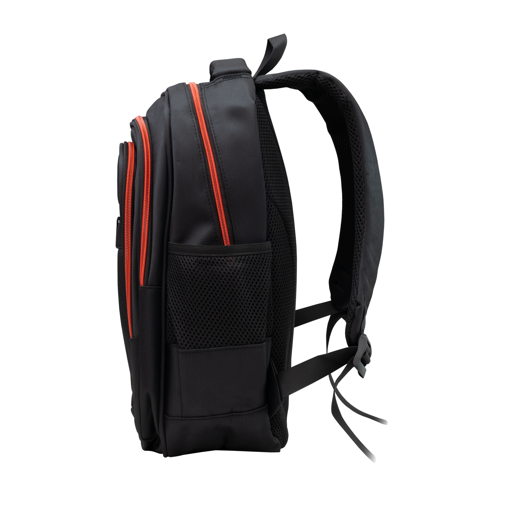 EXPLORER | WhiteShark