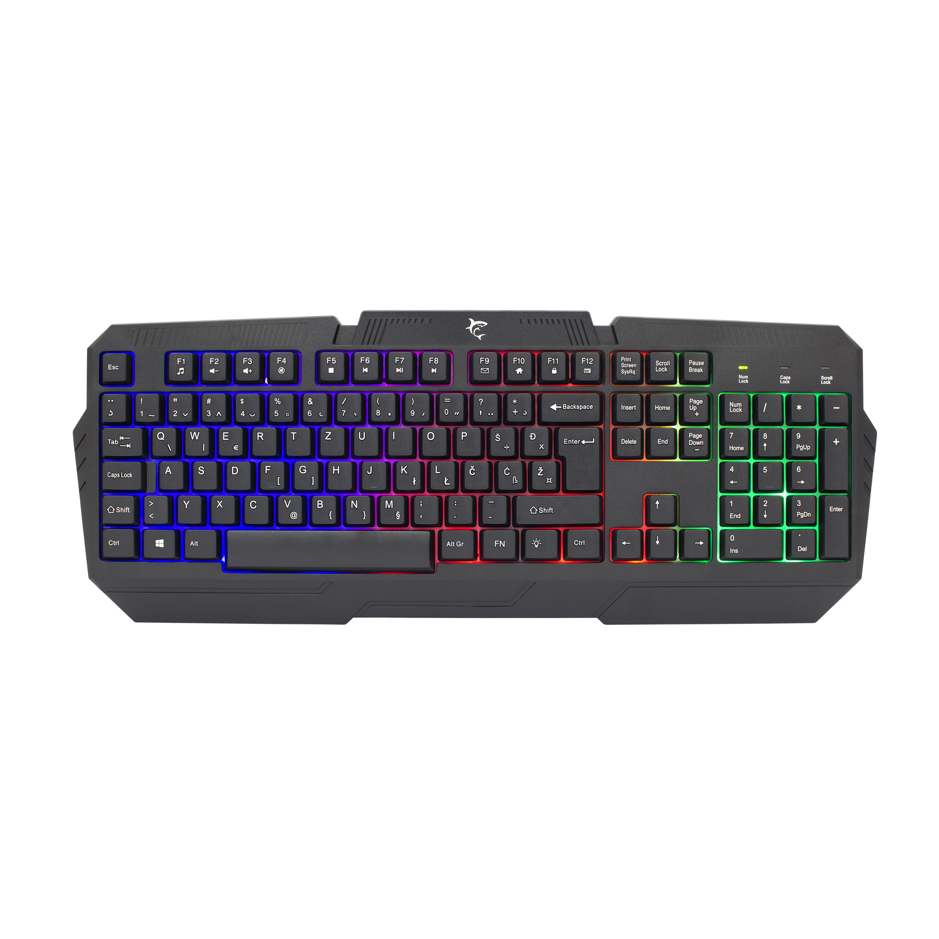 DAKOTA | WhiteShark